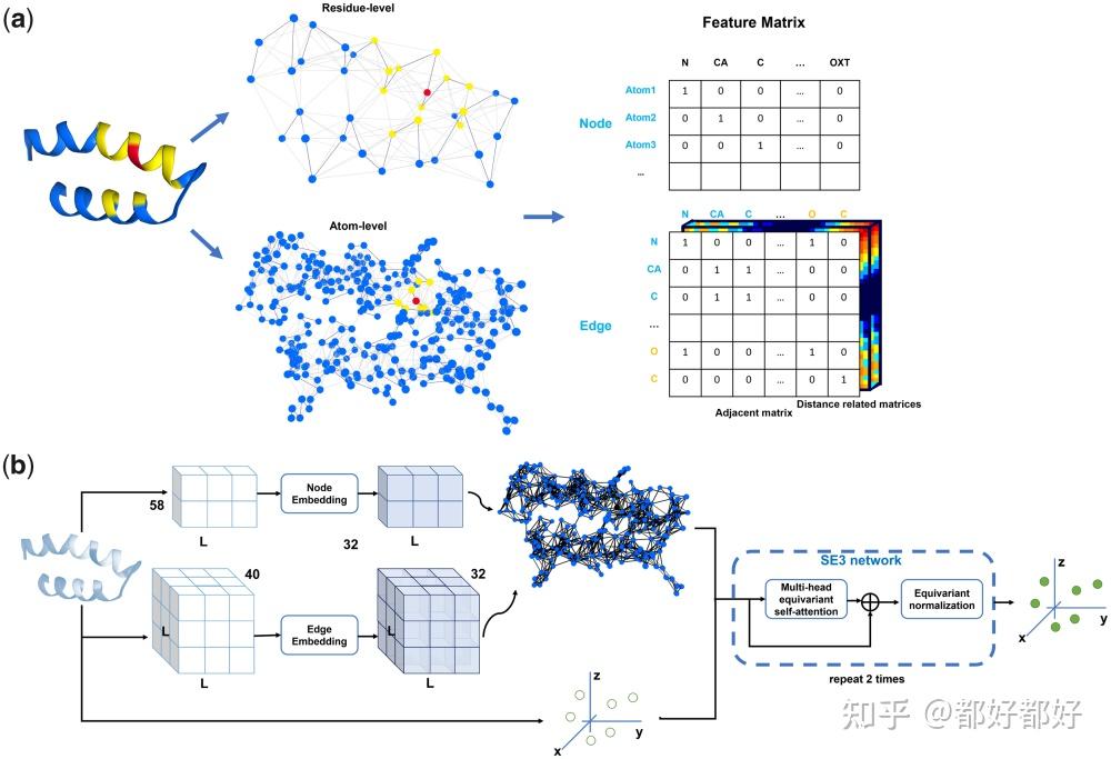 Atomic protein structure refinement graph representations SE(3)-equivariant graph transformer - 知乎