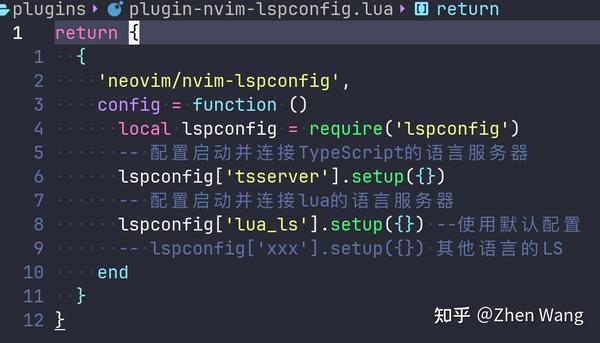 详解nvim内建LSP体系与基于nvim-cmp的代码补全体系 - 知乎