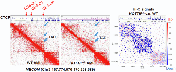 特殊DNA-RNA互作R-loop丰富基因转录的表观调控机制 - 知乎