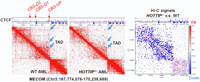 特殊DNA-RNA互作R-loop丰富基因转录的表观调控机制 - 知乎