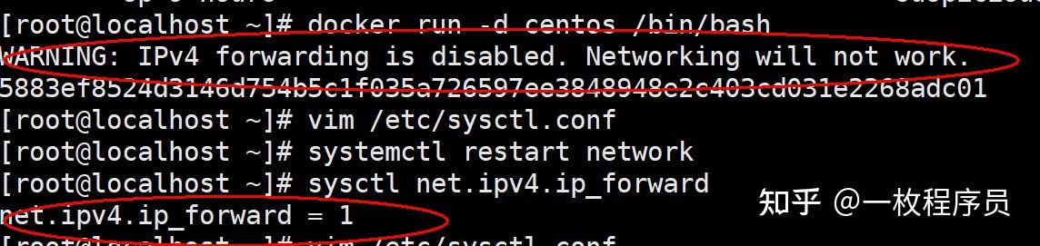 DOCKER：IPV4 FORWARDING IS DISABLED. NETWORKING WILL NOT WORK. 解决方法 - 知乎