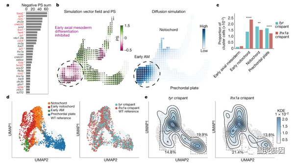 Nature | AI学习基因调控网络预测细胞分化类型 - 知乎