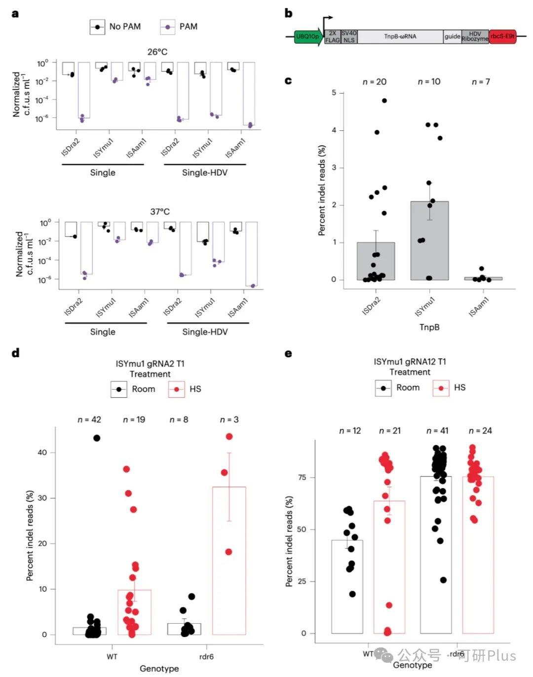 Nat Plants | Jennifer Doudna再获进展！病毒递送迷你编辑器，实现植物无转基因可遗传基因编辑！ - 知乎