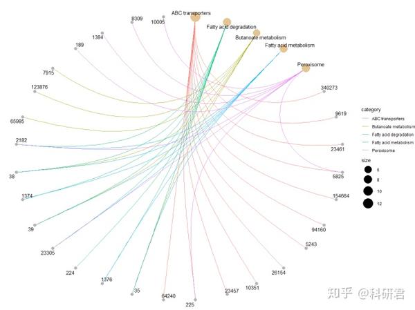 TCGA|GEO可视化分析第2篇---KEGG|GO分析大全 - 知乎