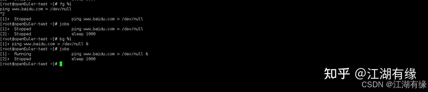 Linux系统之jobs命令的基本使用 - 知乎