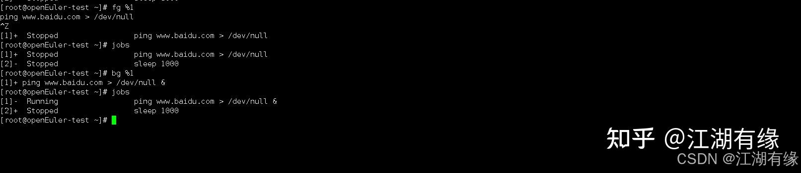 Linux系统之jobs命令的基本使用 - 知乎