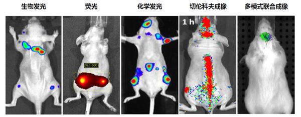 PerkinElmer IVIS Lumina III小动物活体光学成像系统 - 知乎