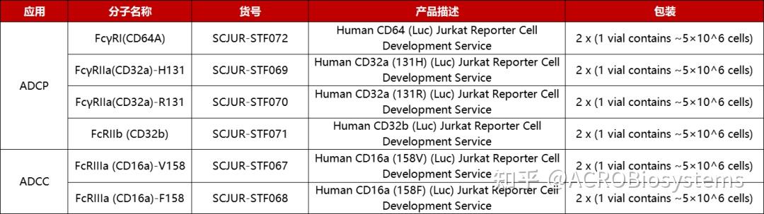 ADCC / ADCP细胞株——Fc工程化改造细胞水平验证工具 - 知乎