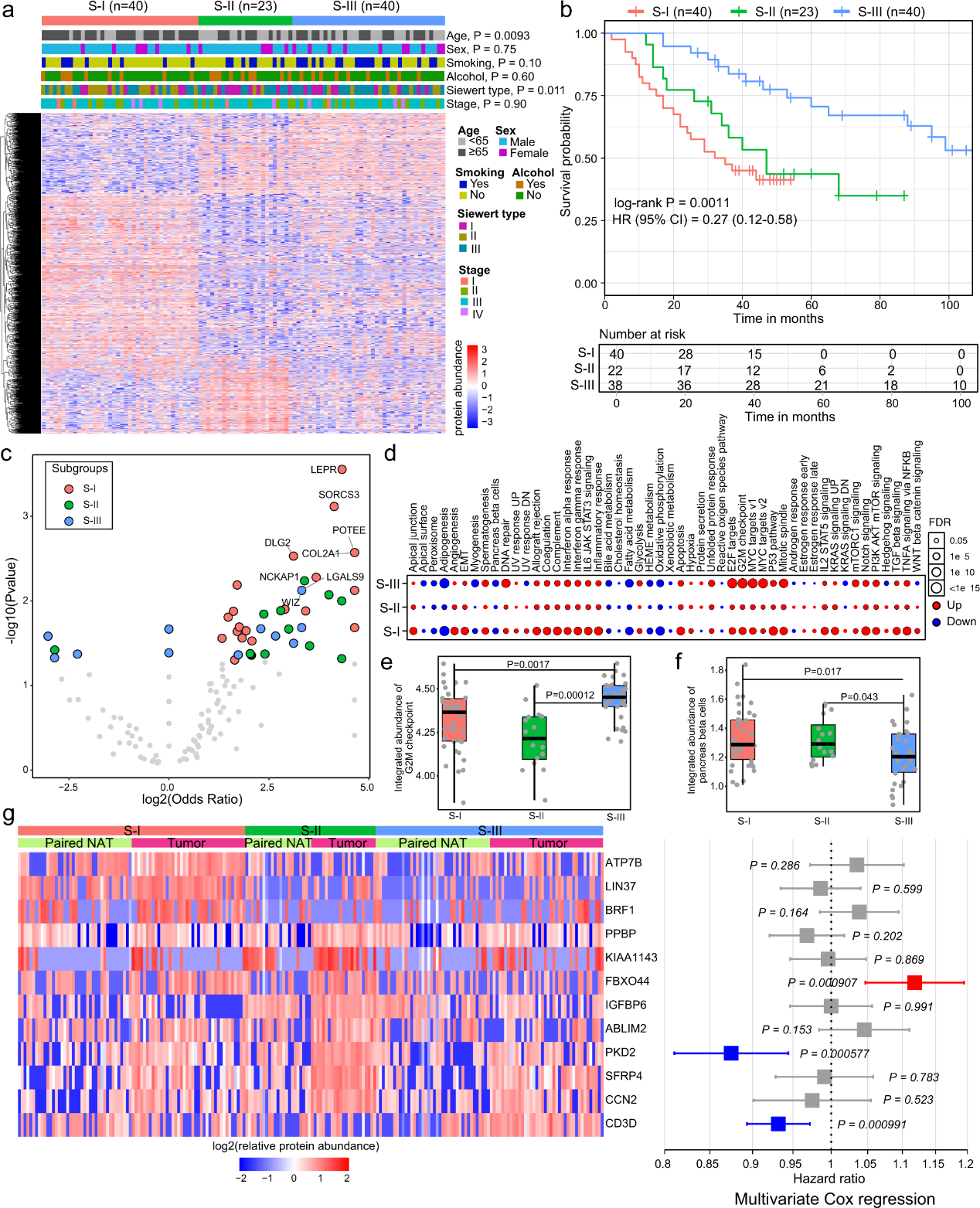 Nat Commun｜多组学揭示食管胃交界处腺癌(AEG)的三种蛋白质组学亚型及潜在的可药物化靶点 - 知乎
