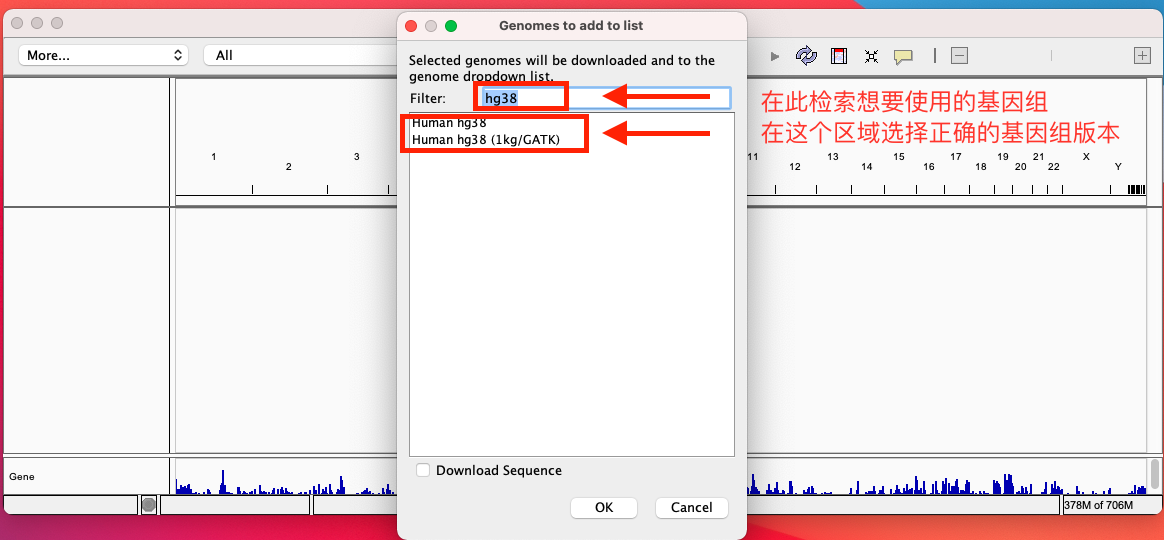 深入解析IGV基因组浏览器：igvtools快速 - 知乎
