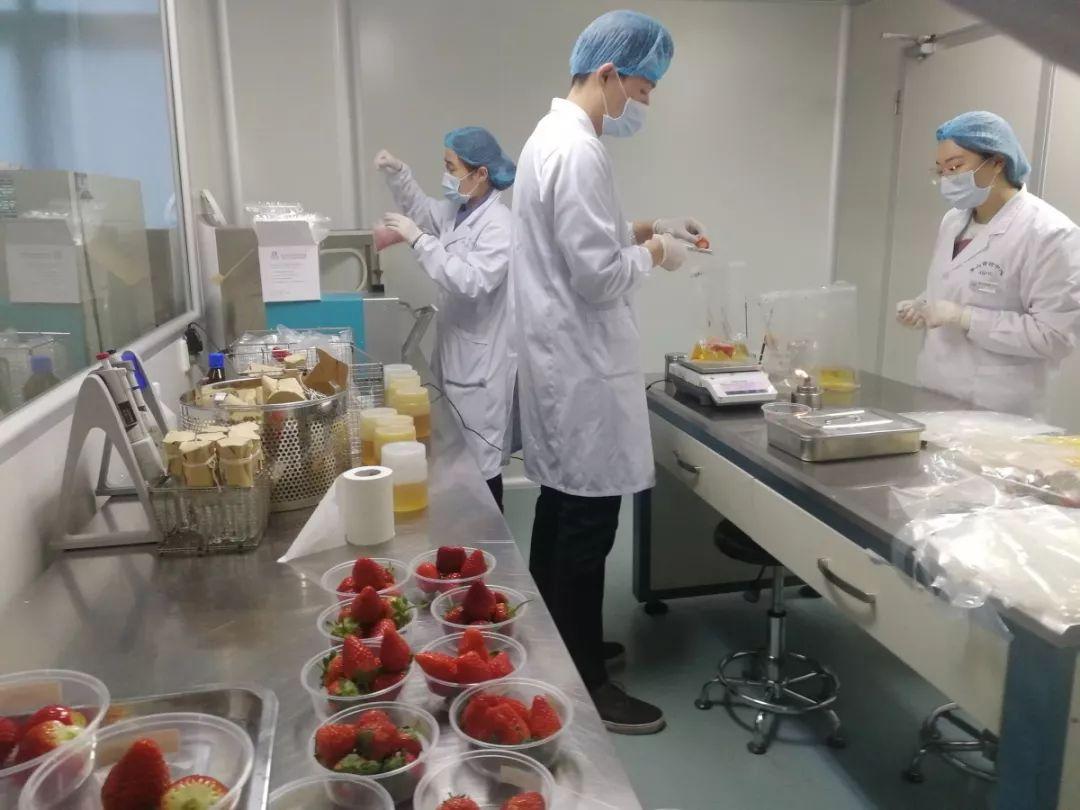 草莓不洗能直接吃吗？浙江一实验室做了个实验，结果… - 知乎