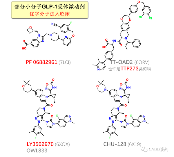小分子GLP-1受体激动剂，从硕迪融资谈起 - 知乎