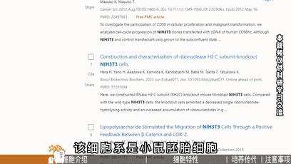 NIH3T3细胞培养，小鼠胚胎成纤维细胞培养攻略 - 丰晖生物 - 知乎