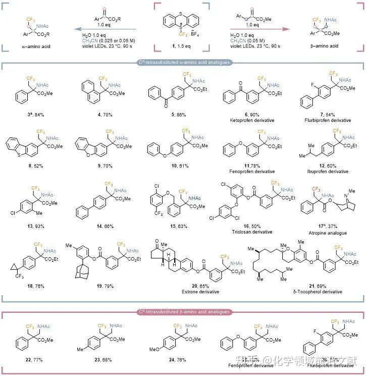 Ritter组Angew：α-噻蒽阳离子取代的羰基物种：一种羰基α位碳正离子等价物 - 知乎