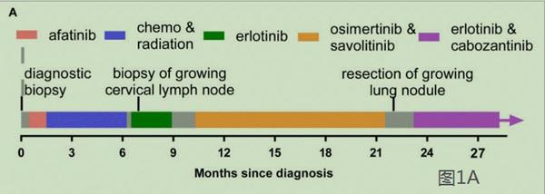 从零开始认识c-MET（下）——治疗篇 - 知乎