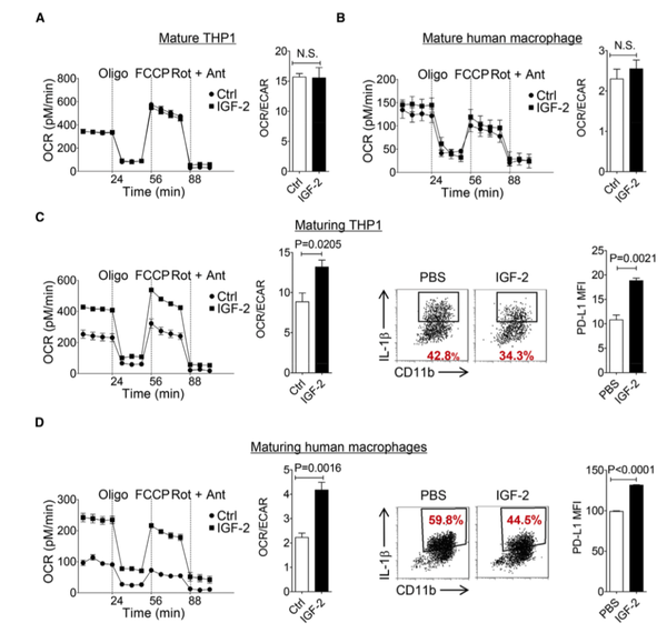 Immunity丨IGF-2处理使巨噬细胞代谢重编程从而发挥抗炎作用 - 知乎