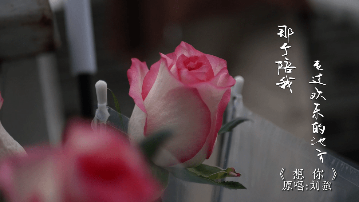 厦门佐志音乐歌曲《想你》由歌手刘强演唱 - 知乎