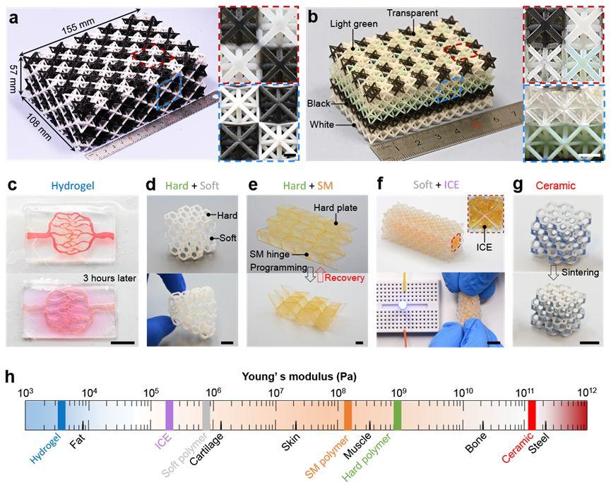 南方科技大学葛锜副教授《自然·通讯》：离心式DLP多材料3D打印 - 知乎