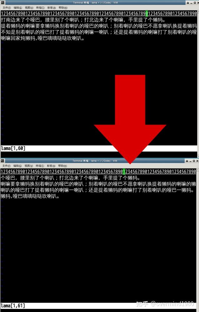 oeasy教您玩转vim - 28 - 水平移动 - 知乎
