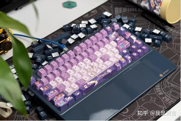 客制化Gasket结构，83键配列黑峡谷E2机械键盘评测 - 知乎