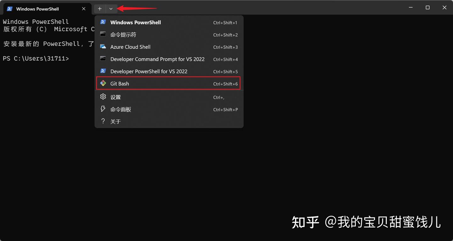 Windows Terminal集成Git Bash及终端美化 - 知乎