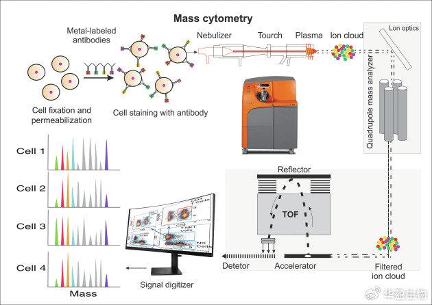 CyTOF单细胞质谱流式 - 知乎