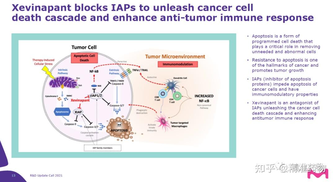 启动中国3期临床：默克9亿欧元引进的王少萌团队研发的IAP抑制剂xevinapant - 知乎