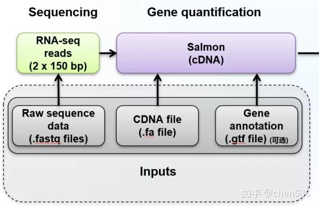基于Salmon的转录组定量流程 - 知乎