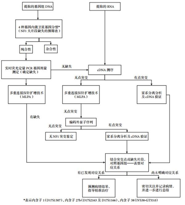 基因解“遗” || 神经纤维瘤病概述（上） - 知乎