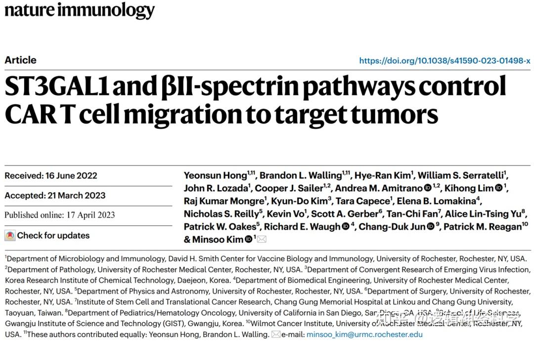Nat Immunol︱罗切斯特大学团队揭示ST3GAL1和βII-spectrin通路调控CAR-T细胞向肿瘤迁移 - 知乎