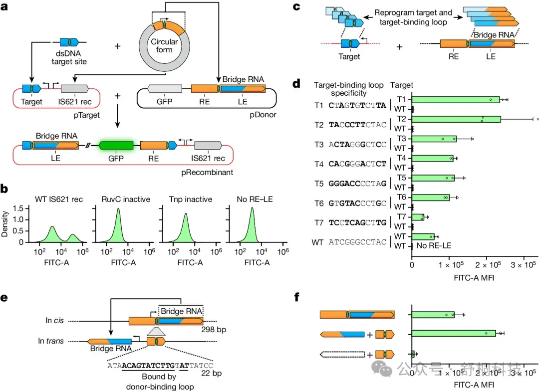 连发两篇Nature！ Bridge RNA：新一代基因组编辑工具 - 知乎