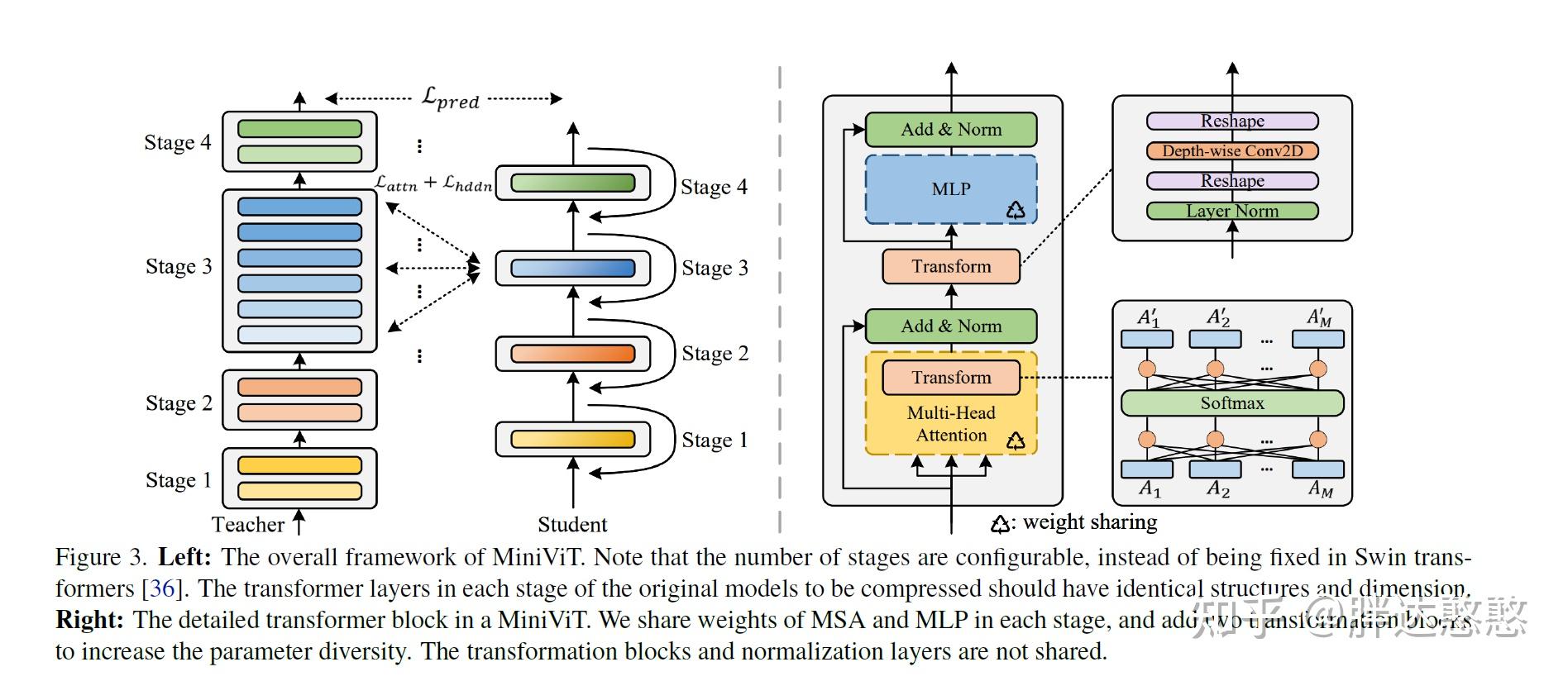 [ViT轻量化论文3]MiniViT: Compressing Vision Transformers with Weight ...