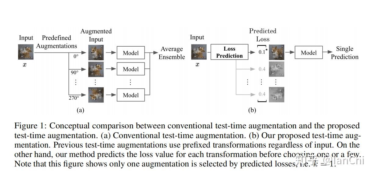 简单聊聊 Test Time Augmentation - 知乎