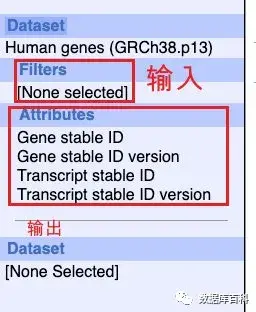 Gene ID 转换工具 - 知乎