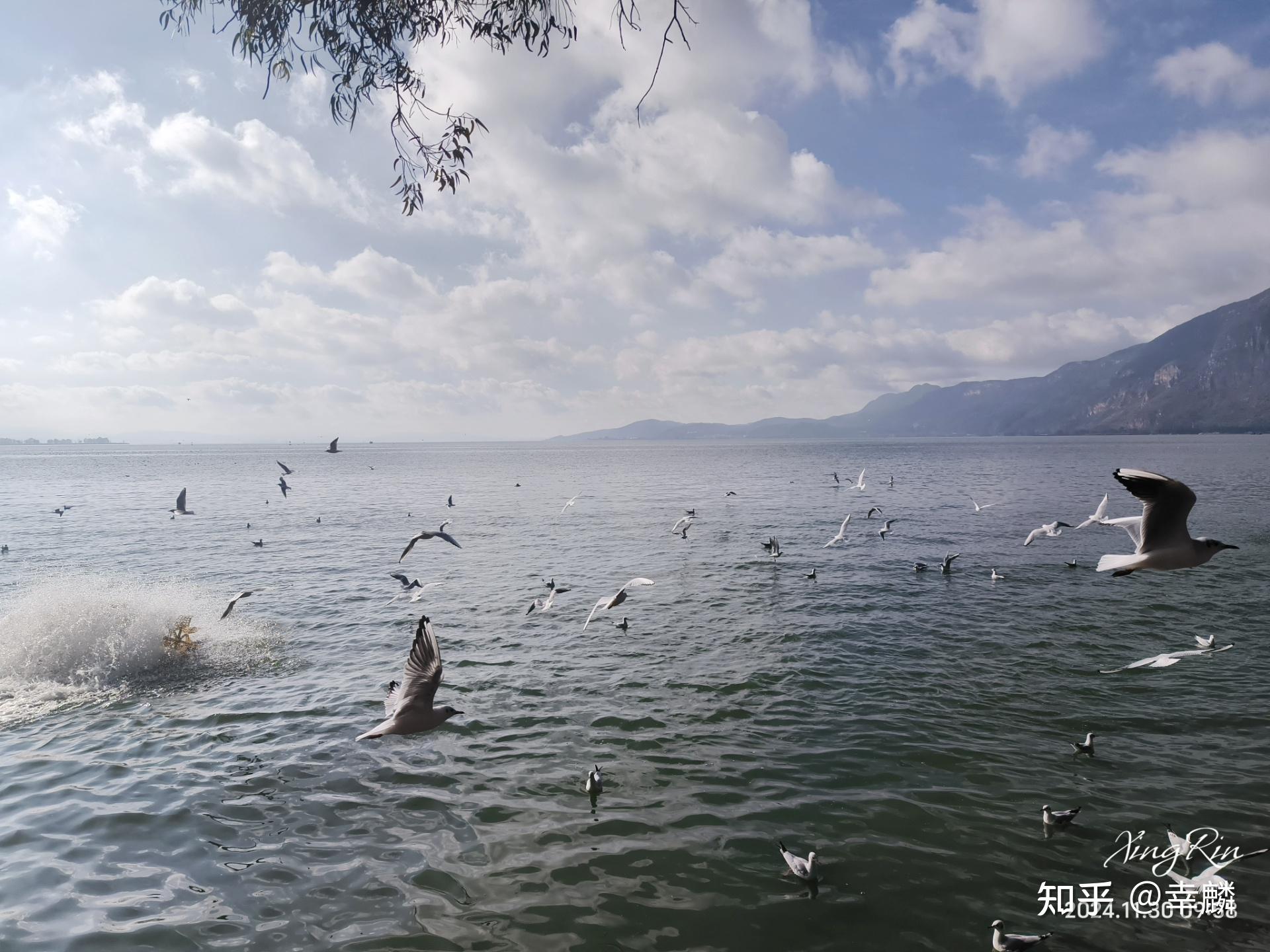 XingRin的算法竞赛回忆录 - 知乎