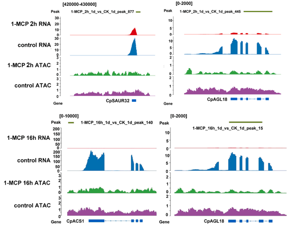 转录因子研究套路（三） - 知乎
