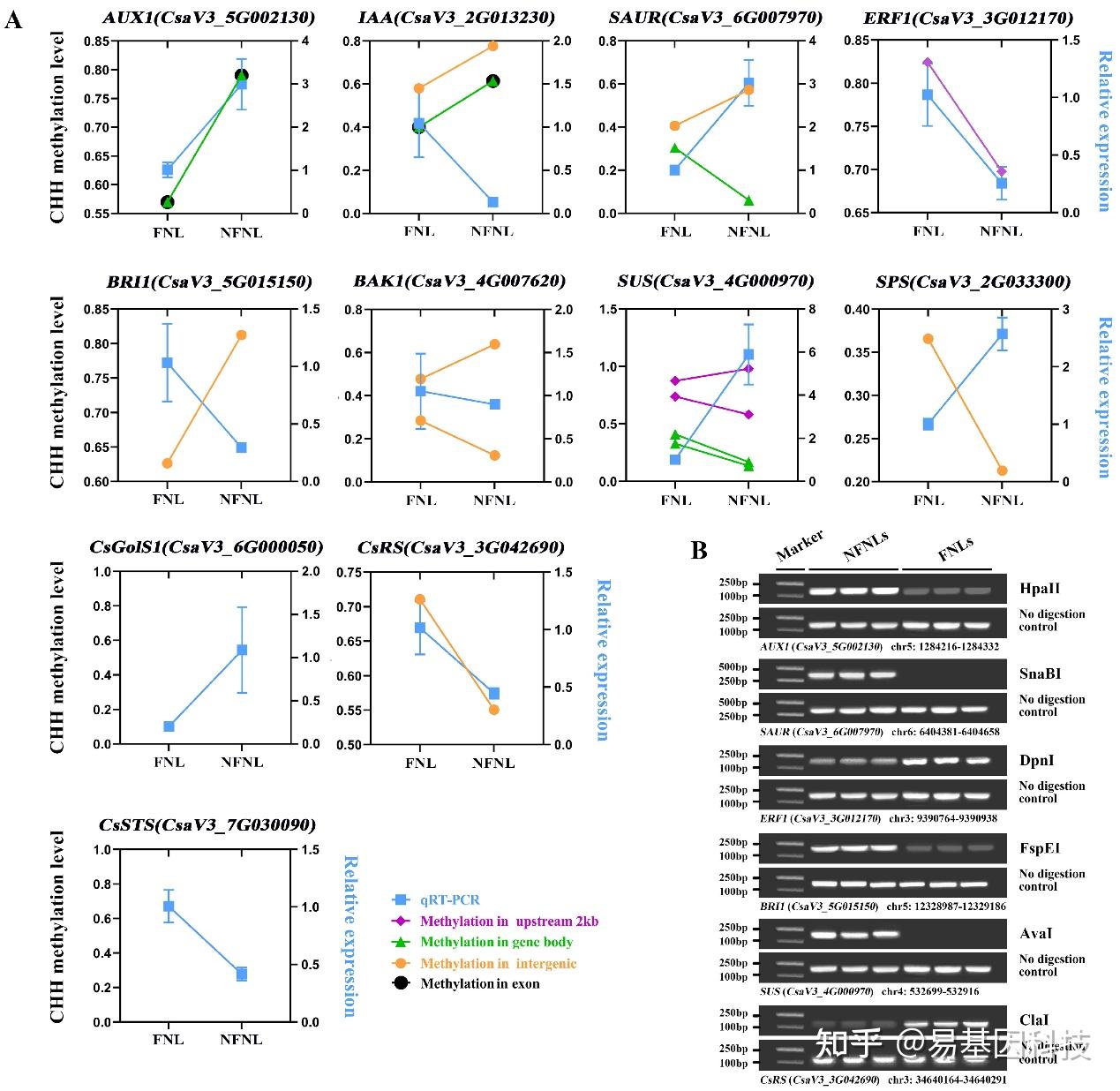 易基因： WGBS+RNA-seq揭示黄瓜作物的“源-库”关系受DNA甲基化调控｜项目文章 - 深圳市易基因科技 - 博客园