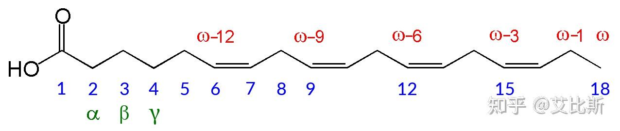 什么是Omega-3脂肪酸？补充磷虾油的益处是什么？ - 知乎