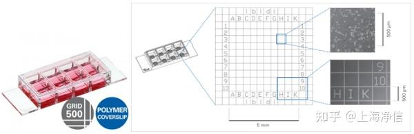 ibidi为细胞培养和显微镜研究-为神经科学研究提供多种解决方案 - 知乎