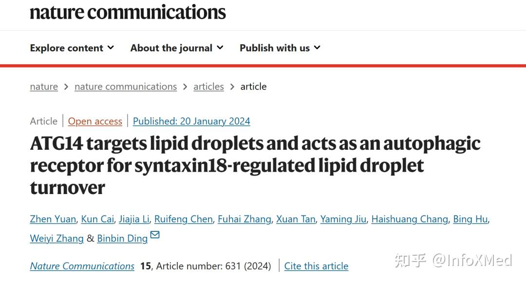 Nat Commun丨揭示ATG14做为自噬受体介导脂滴自噬机制和功能 - 知乎
