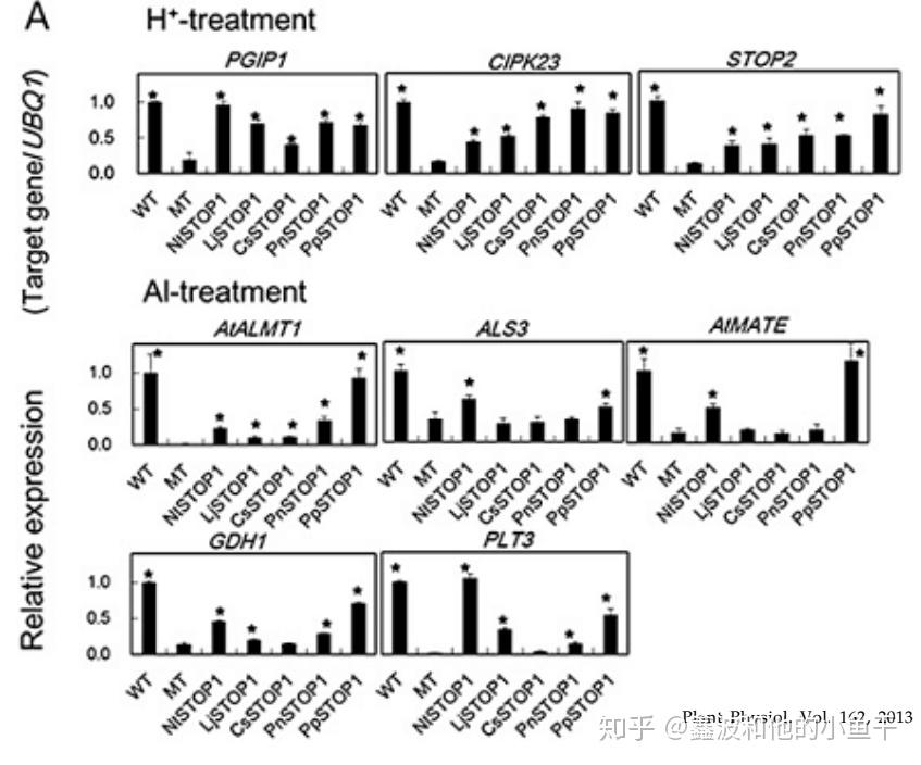 抗酸性土壤铝毒害的关键转录因子——STOP1 - 知乎