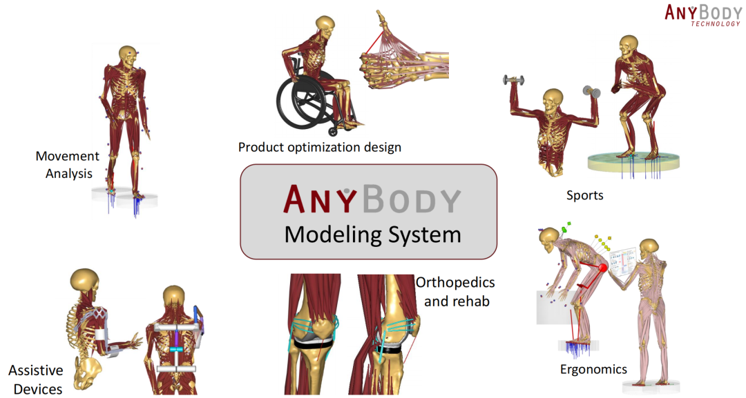 AnyBody肌肉骨骼模型在辅助装置设计中的应用 - 知乎