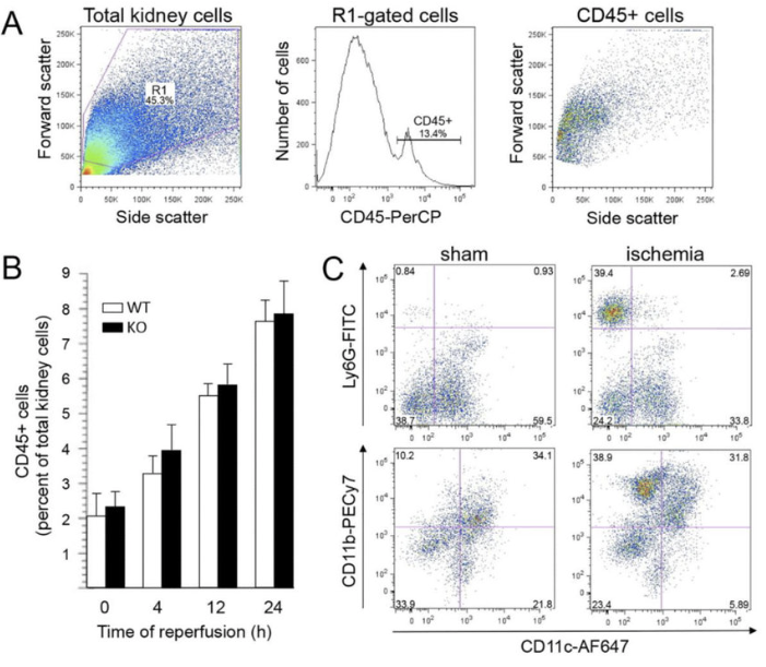 常见流式细胞术图片 - 知乎