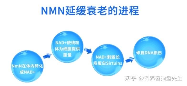 NMN的中文名字叫什么，nmn的功效及使用方法 - 知乎