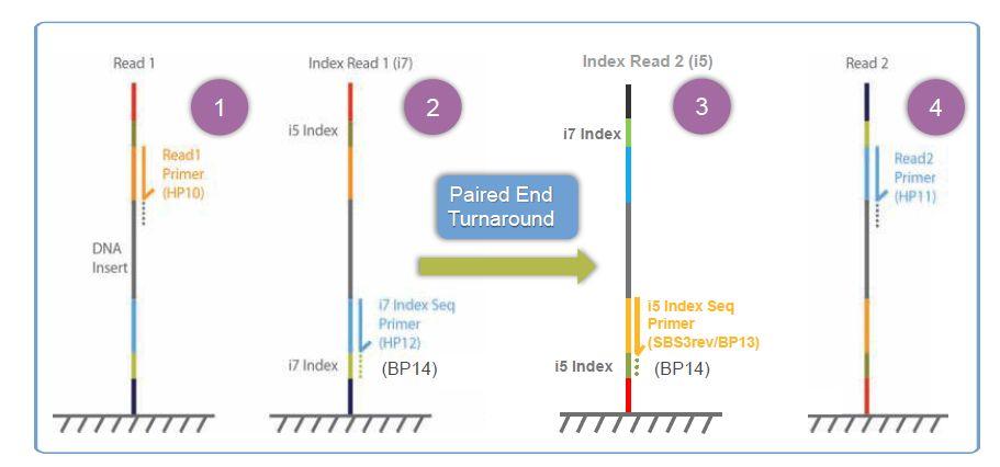 干货 | Index这件小事，你get了吗？ - 知乎