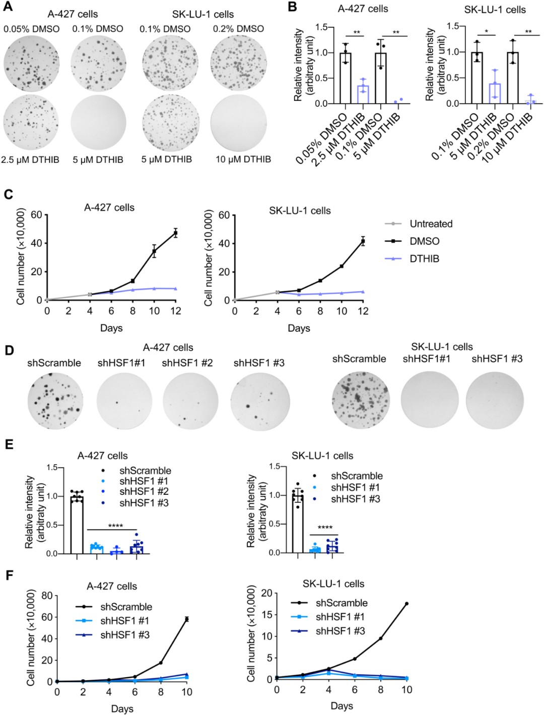 Sci Adv | 昼夜节律紊乱增强Kras驱动的肺癌中HSF1信号和肿瘤发生 - 知乎