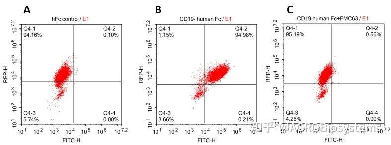 ACROBiosystems百普赛斯案例分享流式法检测CAR阳性表达率 - 知乎