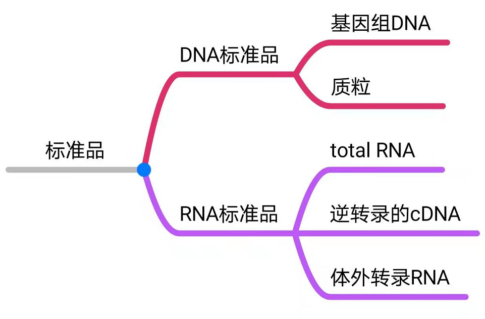 Real Time PCR新手级入门篇-中 - 知乎