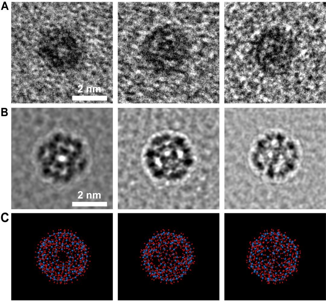 CHIPNOVA（超新芯）透射电镜液相原位系统“看见”离子在水中的扩散及相互作用动态 - 知乎