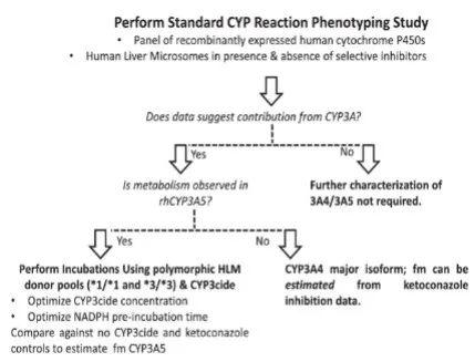 “罕见”CYP酶体系如何完善酶表型鉴定？ - 知乎